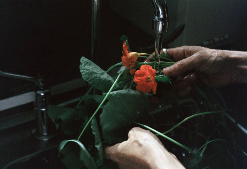 Nasturtium Oxymel – Sans [ceuticals]